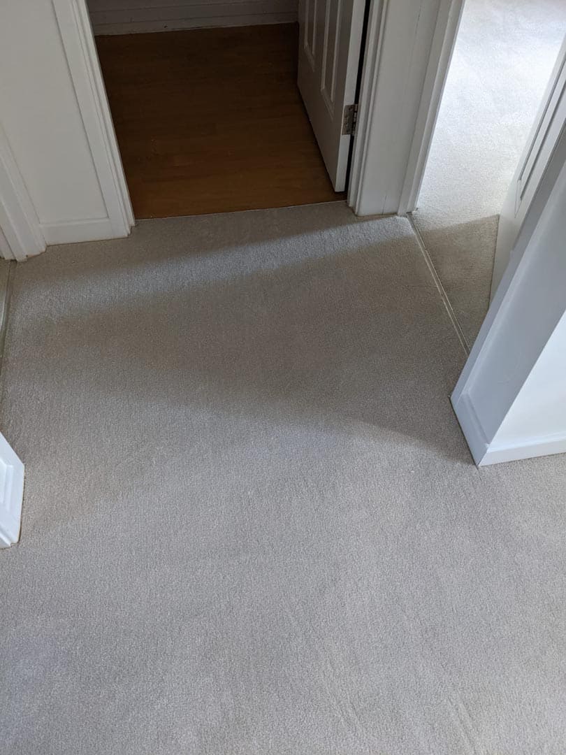 Carpet Fitters Southampton | Experienced Team | Avellino Flooring